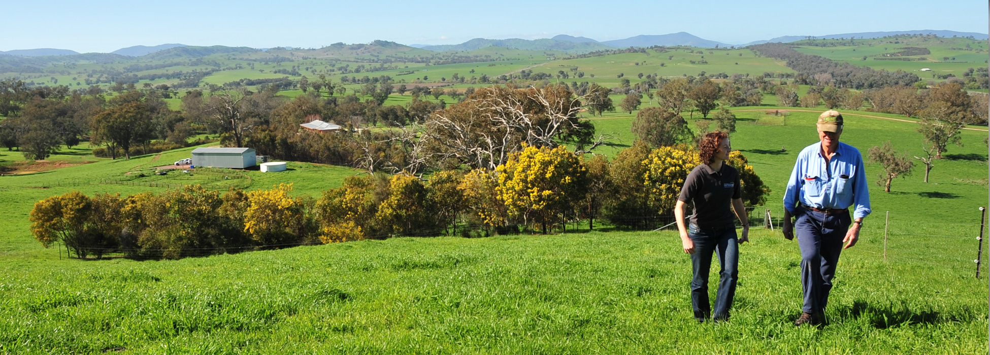 Slopes to Summit - The Great Eastern Ranges