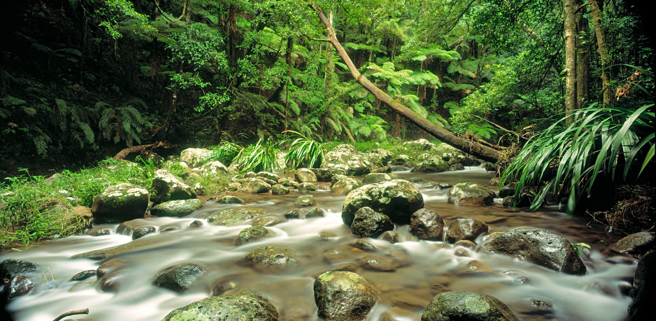 Border Ranges Alliance - The Great Eastern Ranges