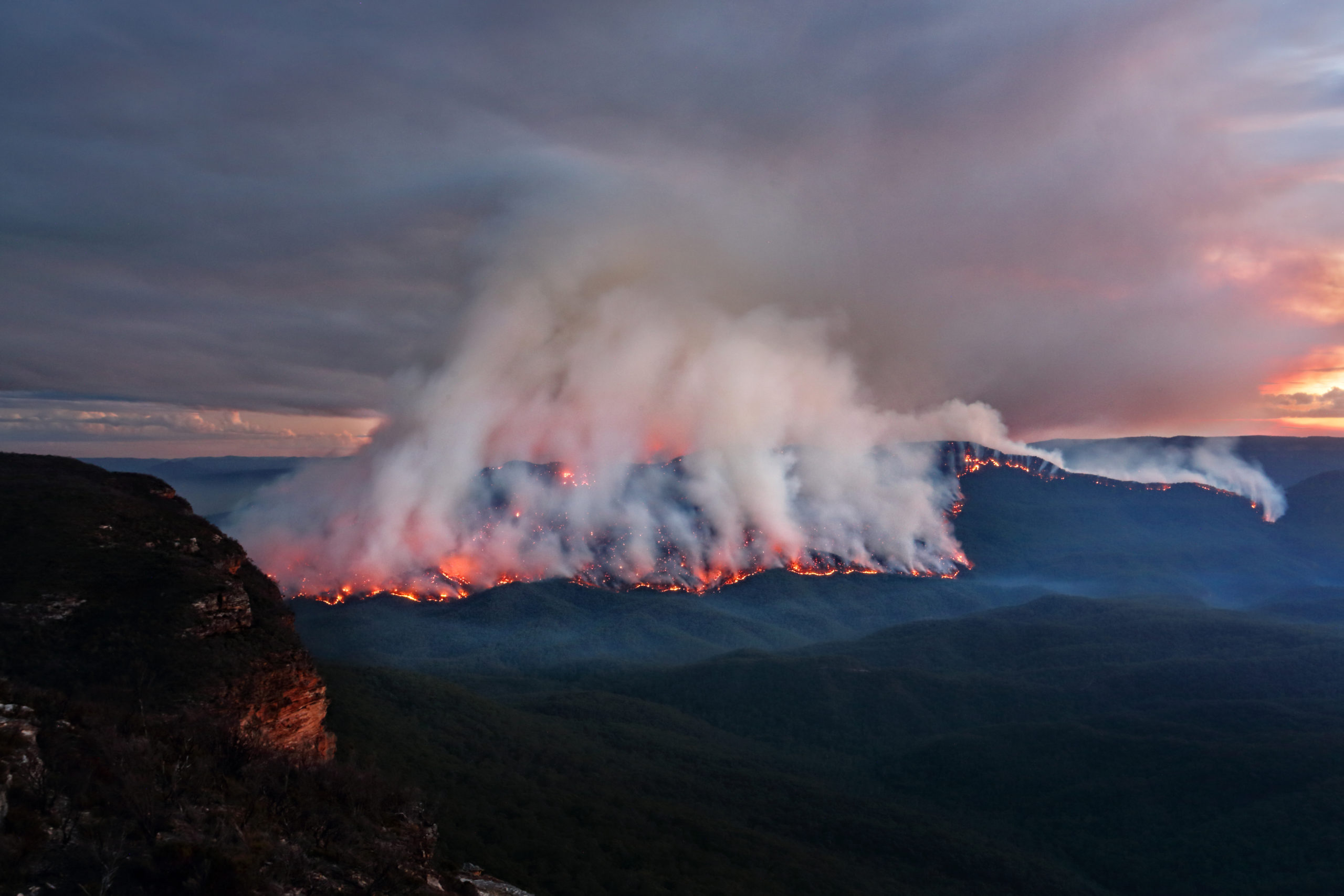 Scientists highlight key findings of bushfire recovery research project ...