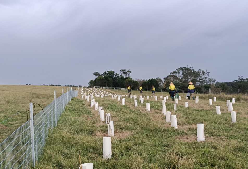 Impact - The Great Eastern Ranges
