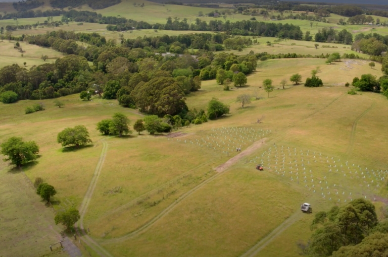 Linking Berry from coast to summit - The Great Eastern Ranges