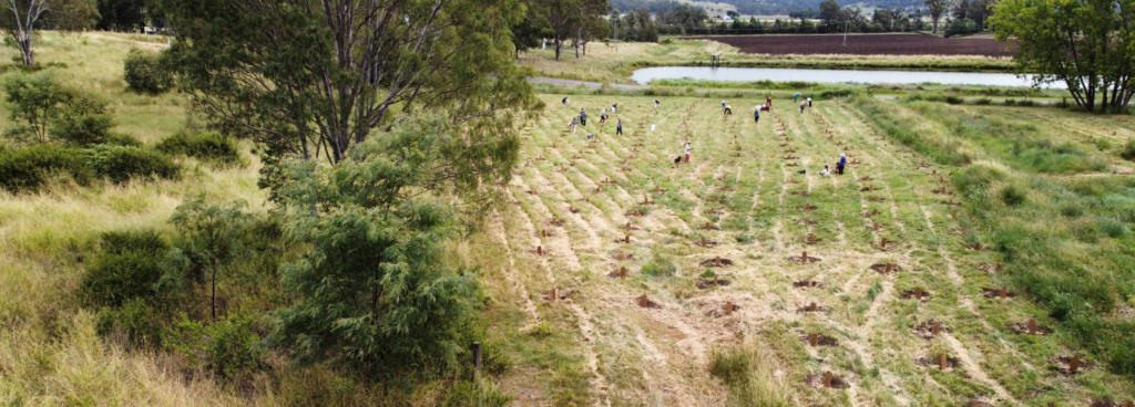 Project showcase - The Great Eastern Ranges